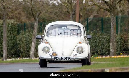 1966 VW Volkswagen Beetle classic stock air cooled bug Stock Photo - Alamy