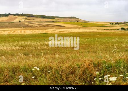 Country landscape near Gravina in Puglia, in Bari province, Apulia ...
