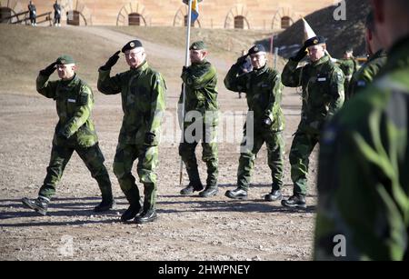 King Carl Gustaf attends a standard handover at the Life Regiment ...