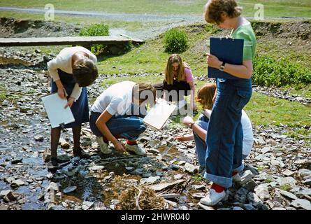 Female secondary school students engaged in geography fieldwork, UK ...