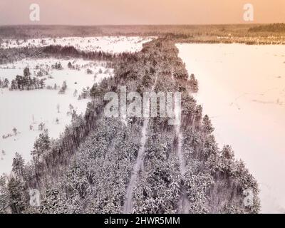 An aerial view of a forest landscape covered with snow and a mountain ...