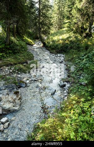 Small forest stream in Mieming Range during summer Stock Photo - Alamy