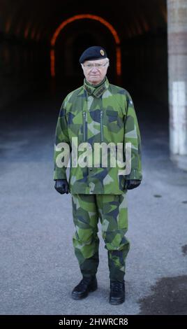 King Carl Gustaf attends a standard handover at the Life Regiment ...