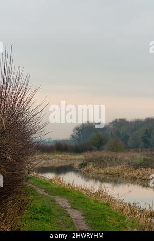 The Chesterfield canal at Retford Stock Photo - Alamy