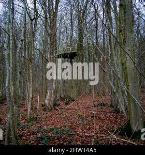 Bird watching observation platform in the Amazon rainforest, Yasuni ...