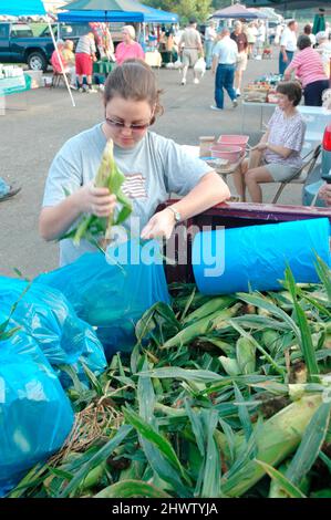 Corn being sold at farmers market in small town to public from the ...