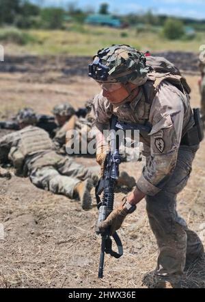 A U.S. Army Soldier from Bravo Company, Special Troops Battalion, 82nd ...
