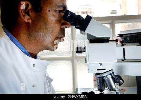 Pathologist analysing a sample under a microscope. (MODEL RELEASED ...