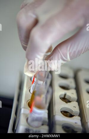 Preparation of glass vials in rack holder Stock Photo - Alamy