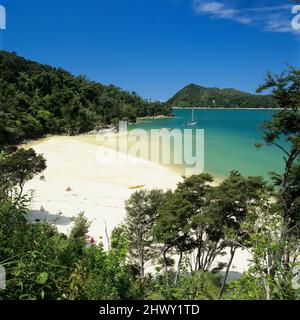 Abel Tasman National Park. White sand bay and turquoise sea. New Zealand Stock Photo - Alamy