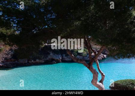Beach with azure waters on Palma Stock Photo - Alamy