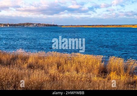 Bird Paradise lake - Ptasi Raj - lake wildlife reserve landscape with ...