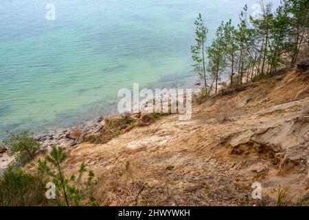 Wooded slope of Klif Orlowski Cliff - loess steep shore over Baltic Sea ...