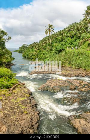 Rainforest river near Falefa Falls, Upolu Island, Western Samoa Stock ...