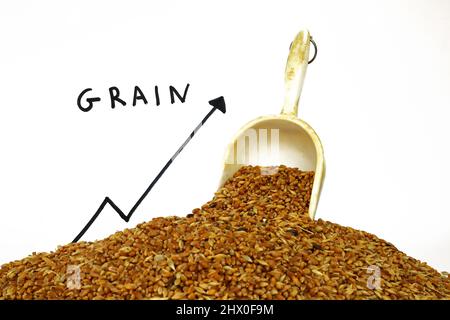 Grain with rising grain stock exchange price label due to the crisis ...