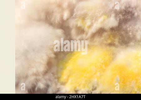 Mold close-up. fungal diseases.Mold fungus wall surface. Mold and ...