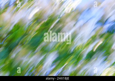 Abstract background motion blur flowers and foliage Stock Photo - Alamy