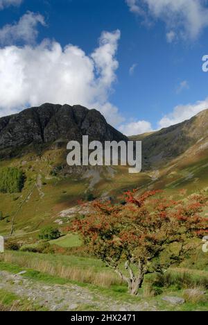 Cwm Cywarch in the Snowdonia National Park Stock Photo - Alamy