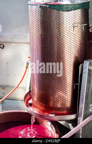 Traditional wine making process: wine press and fresh harvested grapes ...