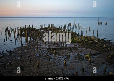 old wood posts sticking out of the sandy beach Stock Photo - Alamy