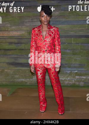 Marsha Stephanie Blake attends the premiere of Amazon Studios' and IFC ...