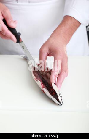Gutting a mackerel through the stomach, removing the bloodline ...