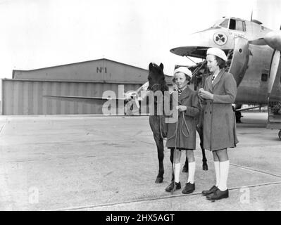 Prince Charles' Equerry Stock Photo - Alamy