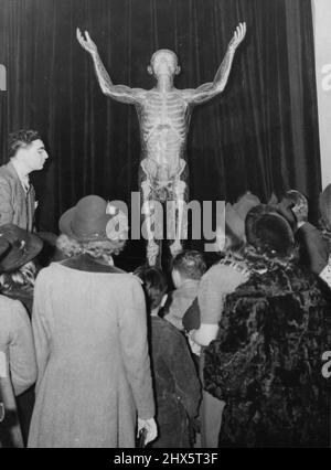 Skeleton inside transparent man Stock Photo - Alamy