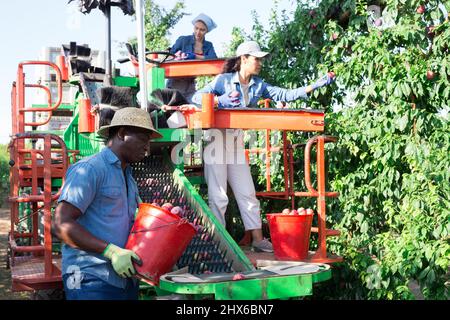 Farmers working on harvesting platform Stock Photo - Alamy