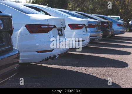 New Car lot Volkswagon Stock Photo - Alamy