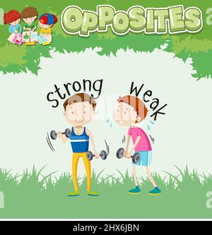 Opposite words for strong and weak illustration Stock Vector Image ...