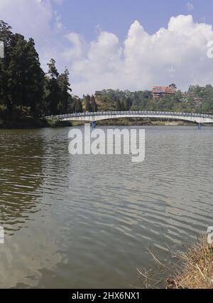 scenic mirik lake surrounded by pine forest at mirik hill station near ...