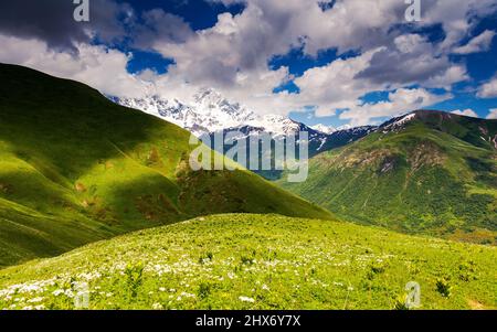 Alpine meadows with dramatic sky at the foot of Mt. Shkhara. Upper ...