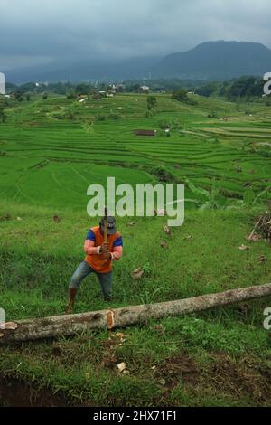 Mojokerto, Indonesia : January 22, 202. A farmer in ricefield, with a ...