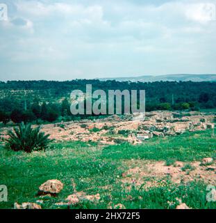 Djebel Oust - Roman ruins of a sanctuary, termal baths and houses ...