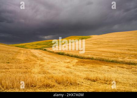 Country landscape in Basilicata along the road from Gravina in Puglia ...