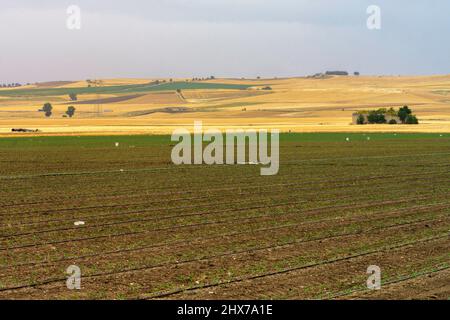 Country landscape in Basilicata along the road from Gravina in Puglia ...