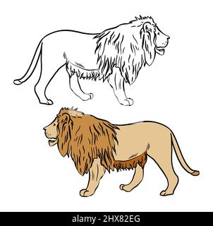 Animal Fur Tail Isolated on Orange Background Stock Photo - Alamy