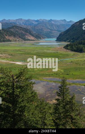 Marshland at the end of lake in the coastal mountains of British ...