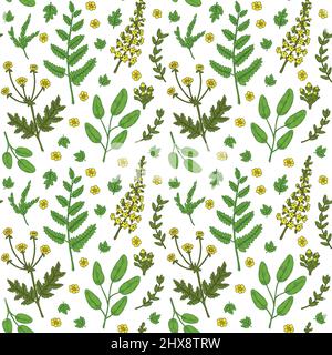 Wild meadow flower seamless vector pattern background. Abstract blue ...