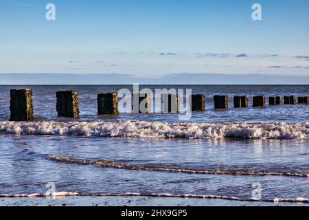 Groynes on the beach at Bridlington in Yorkshire protecting the ...