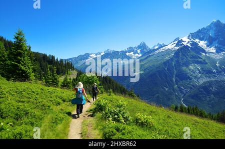 Turists in the Nature Reserve Aiguilles Rouges, Graian Alps, France ...