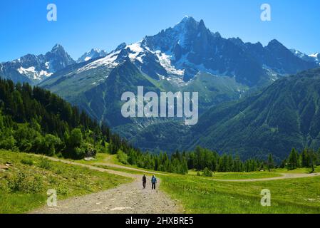 Turists in the Nature Reserve Aiguilles Rouges, Graian Alps, France ...