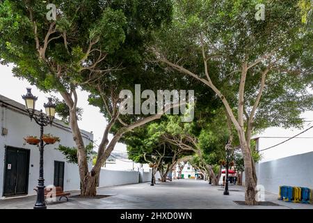 Center of Haria, Plaza León y Castillo, Haria, Lanzarote, Canary ...