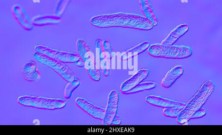 Sphingomonas bacteria, illustration Stock Photo - Alamy