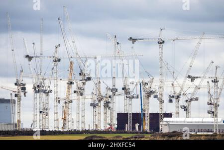 Forest of tower cranes at Hinkley Point HPC site constructing Britain's ...