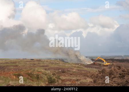 Clearance and burning of coastal vegetation at Dale Airfield Stock ...
