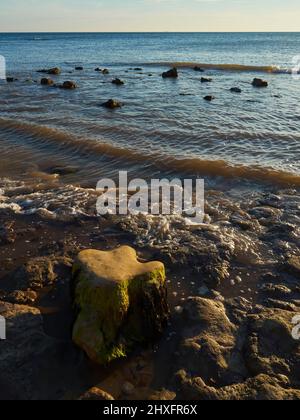 Fossilised dinosaur footprint at Compton Bay, Isle of Wight Stock Photo ...