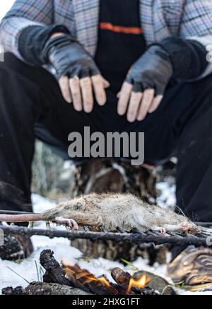 The homeless man grills a rat, close up view Stock Photo - Alamy