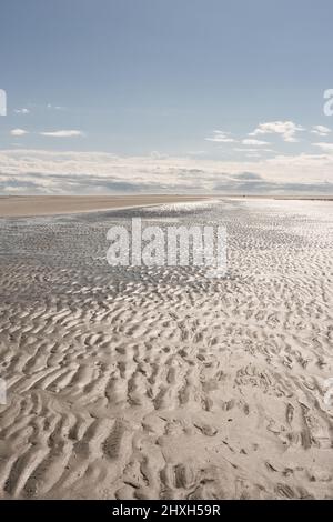 Exploring a sand bar revealing interesting finds during high winds in ...